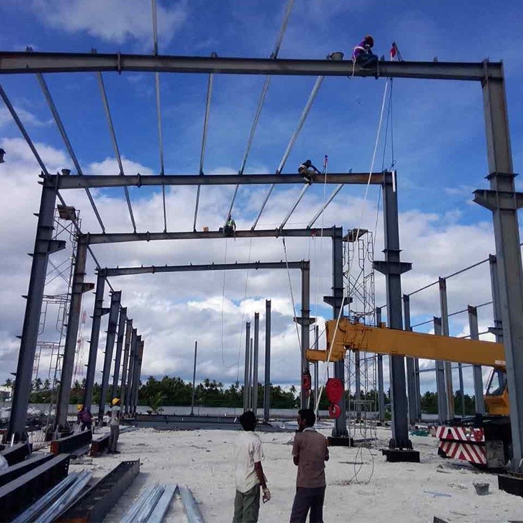 Cost Effective Steel Structural Buildings Multi Functional Metal Houses ...