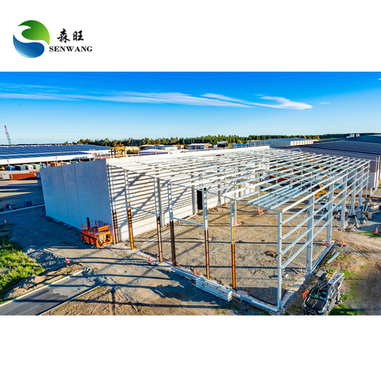 ISO 9001 Certified Steel Structure Warehouse with Custom Wall Cladding