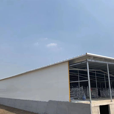 Steel Structure Warehouse with Sandwich Panel Roof and Wall Cladding